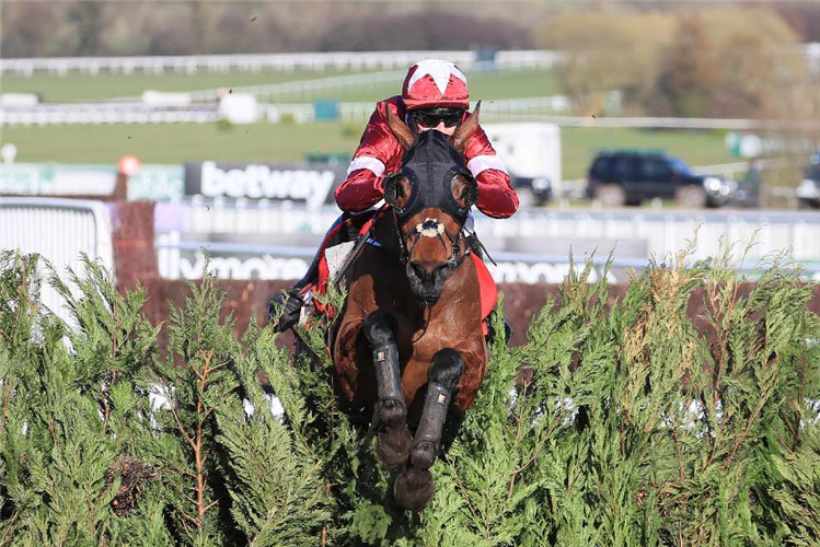 Tiger Roll Still In Irish Grand National Reckoning | Racing and Sports