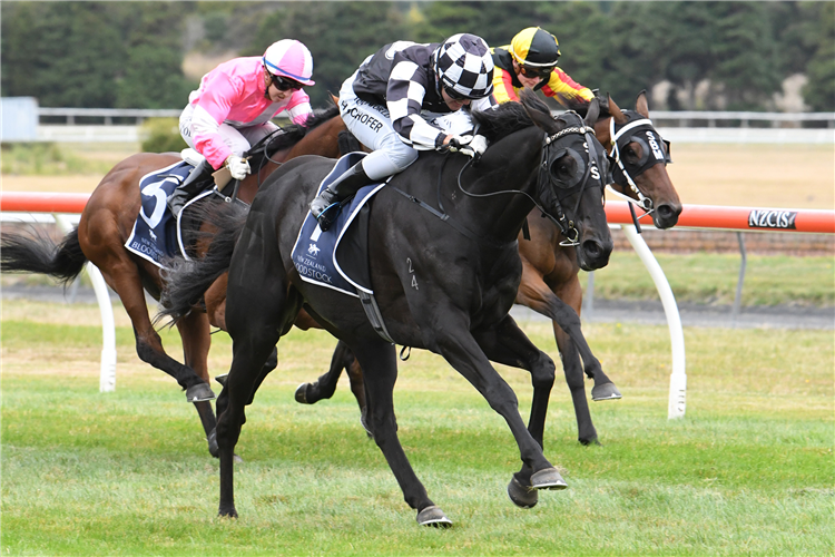 Vale Lorraine Jameson | Racing and Sports