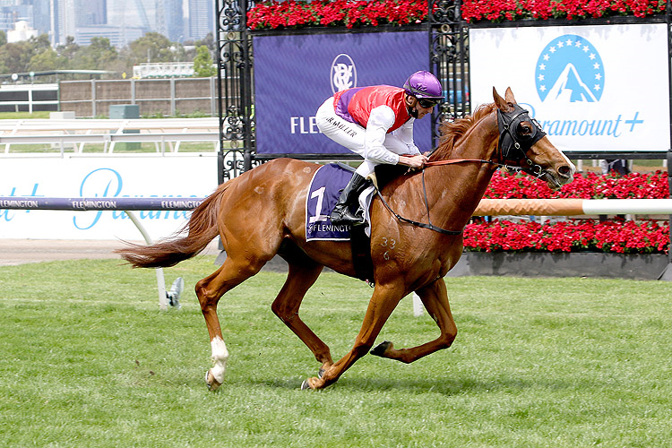 2022 Queen Elizabeth Stakes: Final Field, Barriers And Market | Racing ...