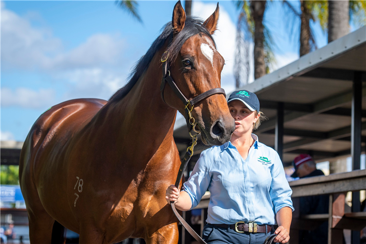 Singleton’S Key To Frankel Success | Racing and Sports