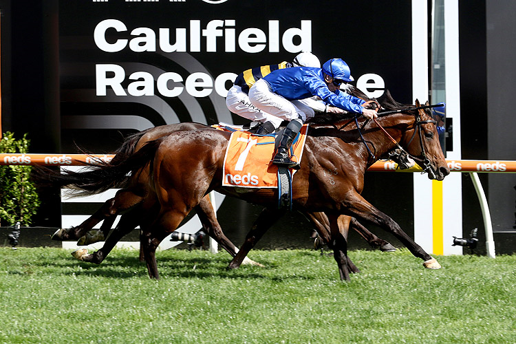 2022 Cox Plate: Tips And Race Preview | Racing and Sports