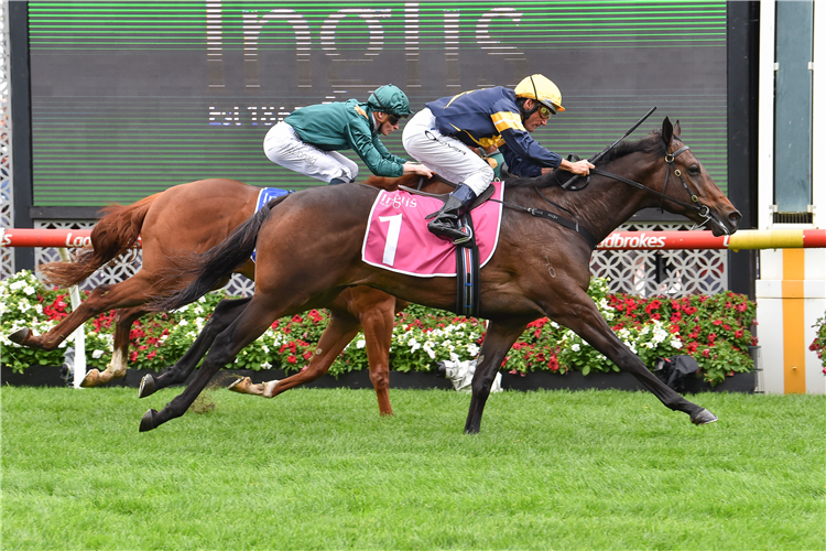 Arkansaw Kid Wins Restricted Listed Inglis Banner: Post Race Trainer ...