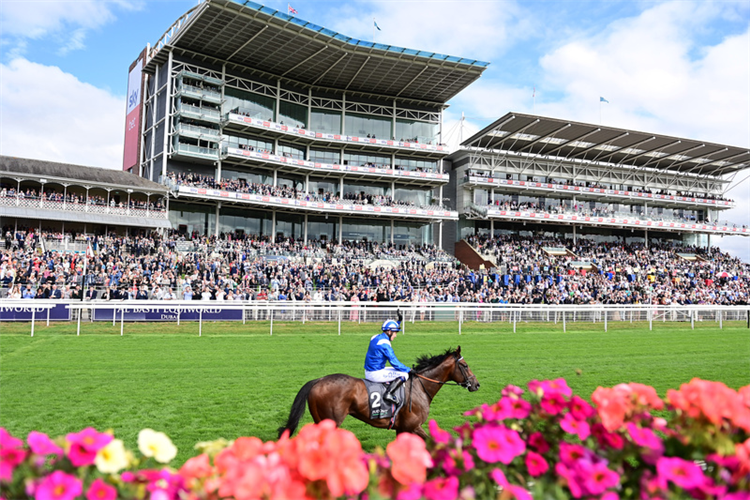 Final Countdown For Baaeed, With Brilliant Colt All Set To Sign Off In ...