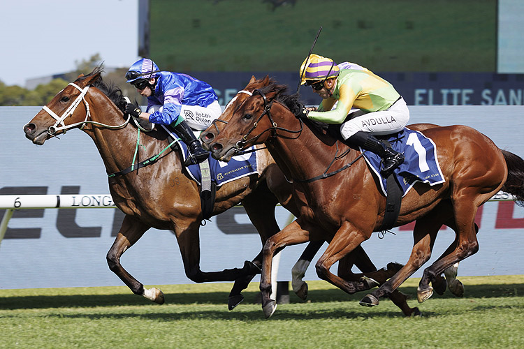 Waverley (New-Zealand) Racecourse | Thoroughbred | Races Today | Racing ...