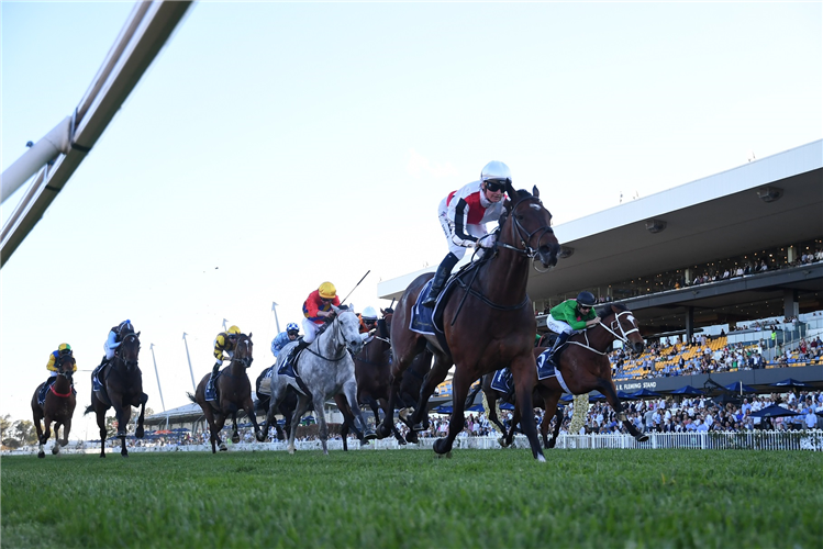 Today’S Horse Racing Tips – 31st October 2022 | Racing and Sports