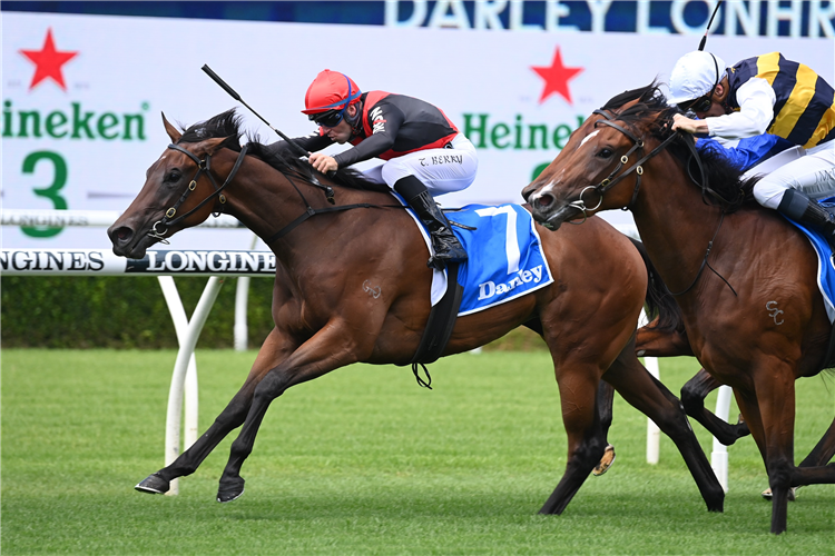 Cythera Wins Lonhro Plate: Post Race Trainer And Jockey Quotes | Racing ...