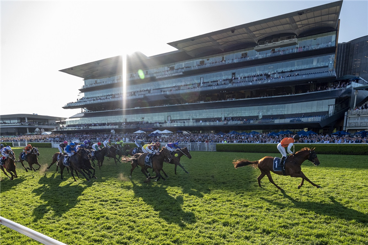 Today’S Horse Racing Tips – 18th October 2022 | Racing and Sports