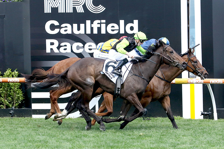 Expert Tips | News | RSN