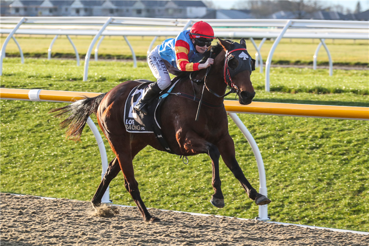 Didham Ready To Rock In Solo Career | Racing and Sports