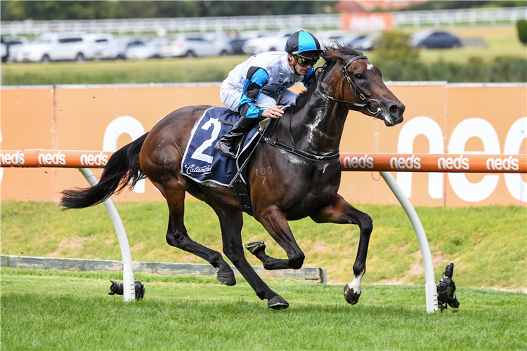 Dabernig Chasing All-Star Start For Mascot | Racing and Sports