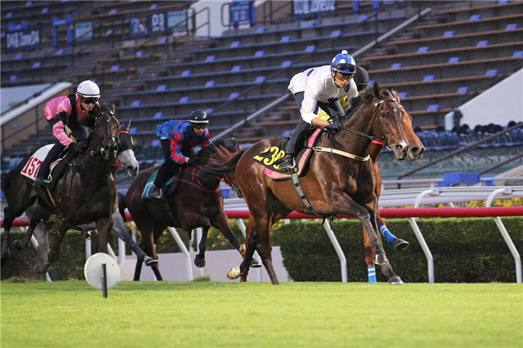 Golden Sixty Goes For Gold Again In Triple Crown’S Second Leg | Racing ...