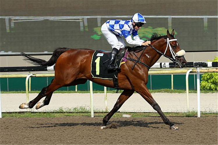 Davis Files: Race Review Of Happy Valley - 7th December 2022 | Racing ...