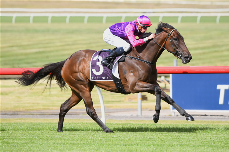 Sweet After Consecutive City Wins | Racing and Sports