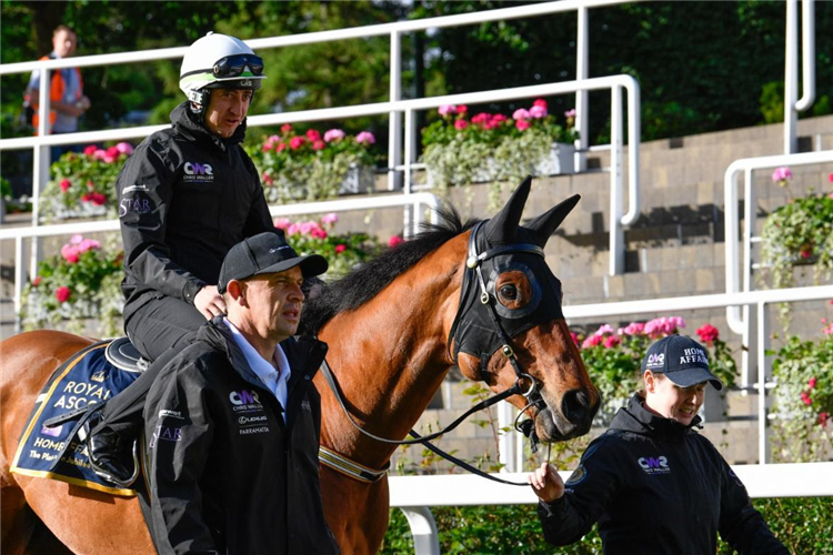 Waller Bids For Sprint Double With Home Affairs | Racing and Sports