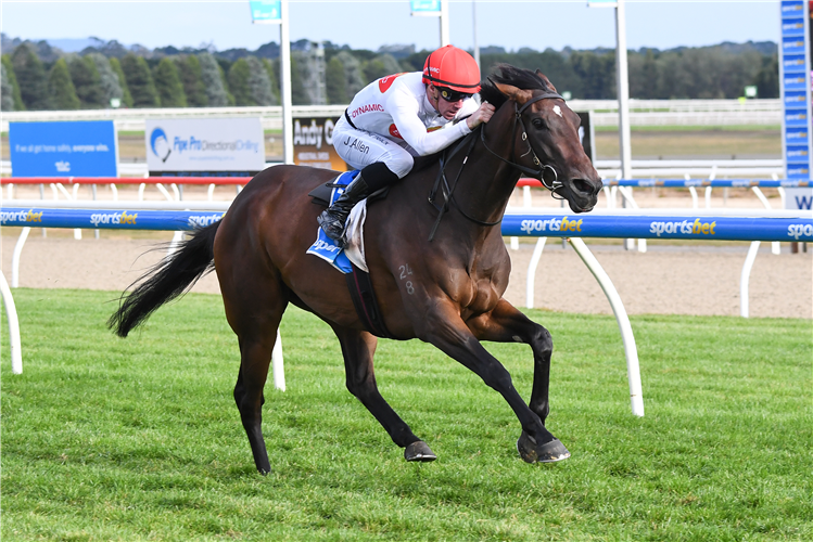 I Am Me Thoroughbred Horse Profile - Next Race, Form, Stats, News ...