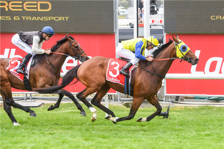 Kissinger Wins Reed Cranes & Transport Marathon Handicap: Post Race ...