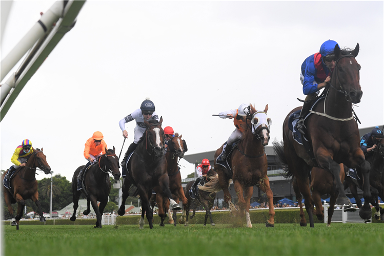 Lost And Running Out Of The Everest | Racing and Sports