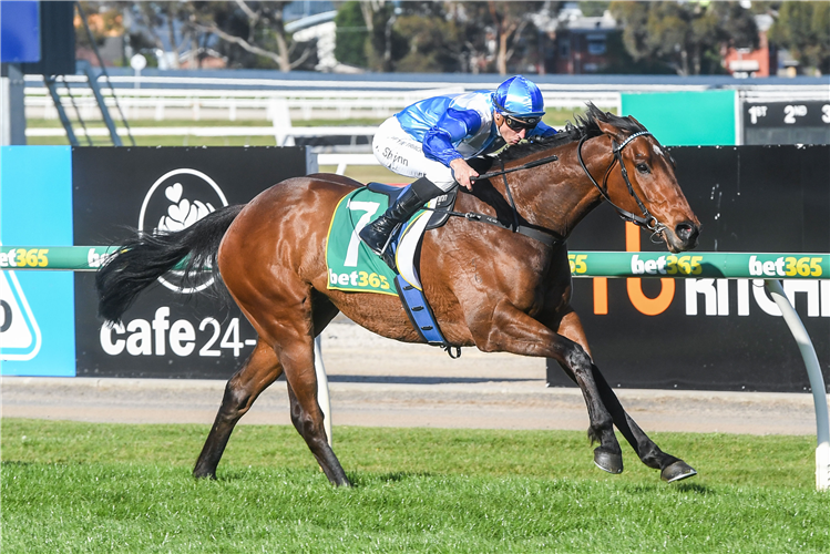 Maximus Primed For Rich Victorian Country Final | Racing and Sports