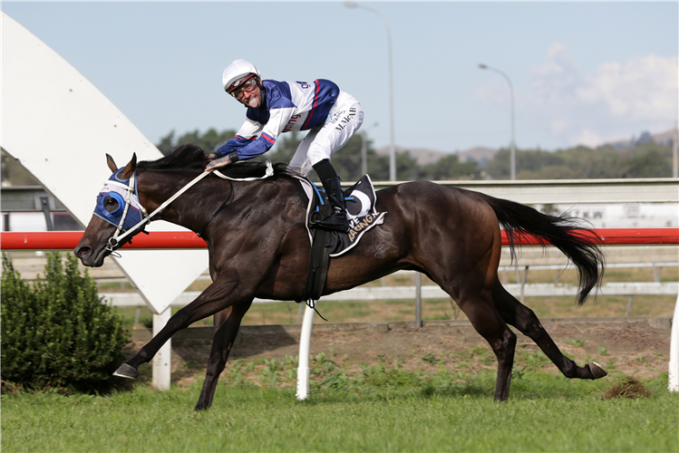 Third Time’S A Charm For Miss Ella | Racing and Sports