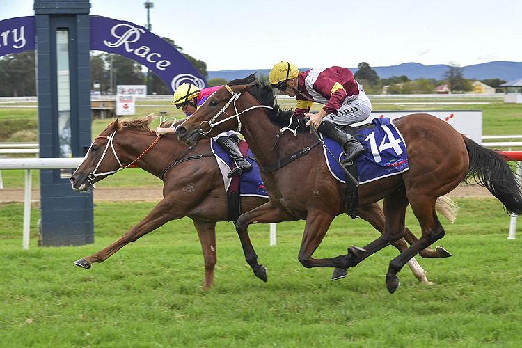 2022 Theo Marks Stakes: Tips And Race Preview | Racing and Sports