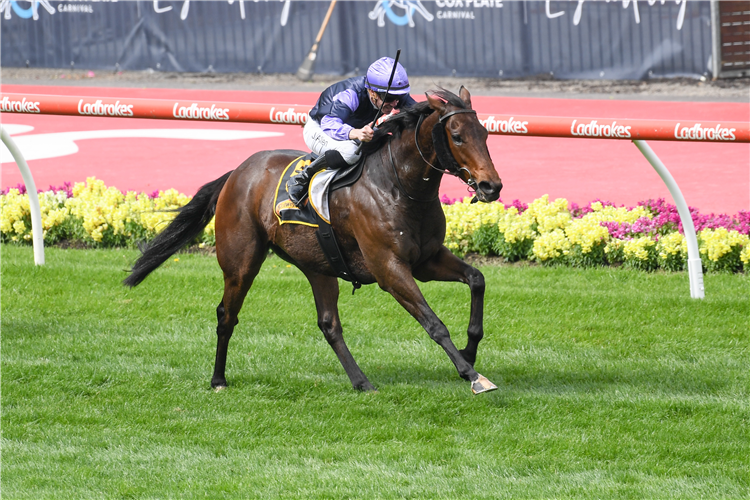 My Oberon Wins Group 2 Schweppes Crystal Mile: Post Race Trainer And ...