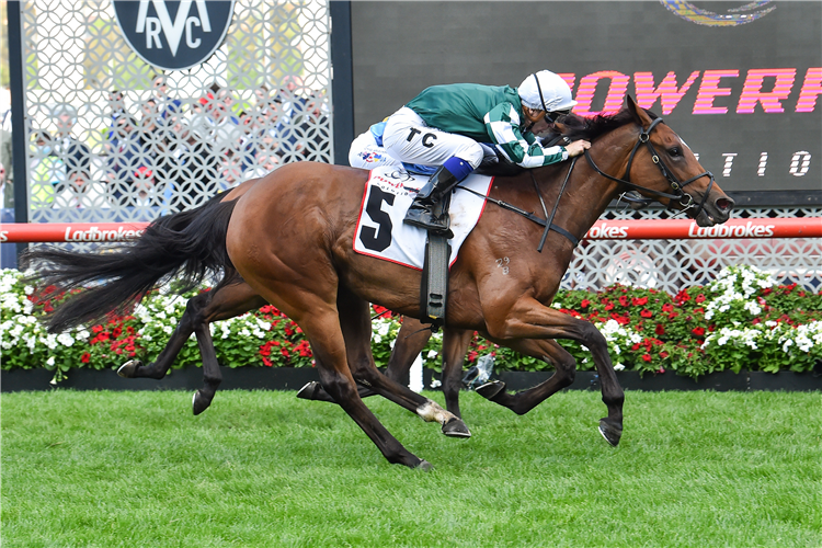 My Whisper Wins Group 3 Powerflo Solutions Tesio Stakes: Post Race ...