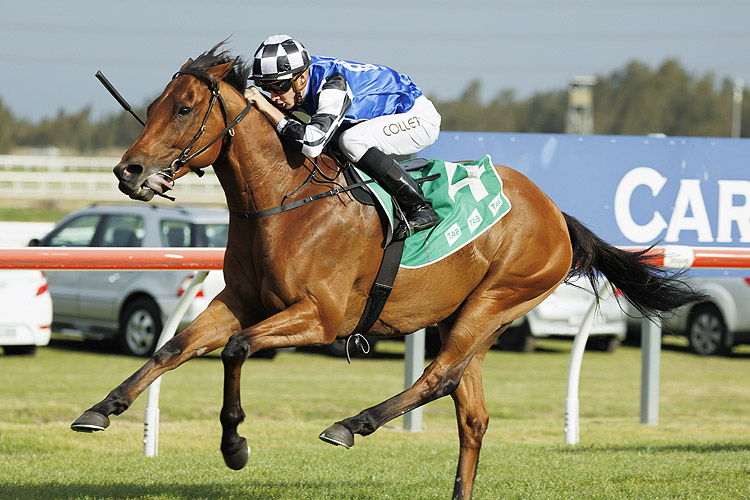 2022 The Ingham: Final Field, Barriers And Market | Racing and Sports