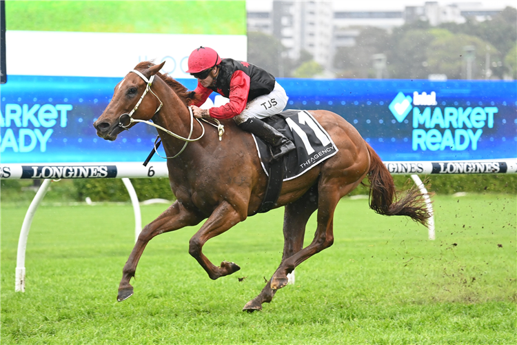 Opal Proves A True Gem In The Mud | Racing and Sports