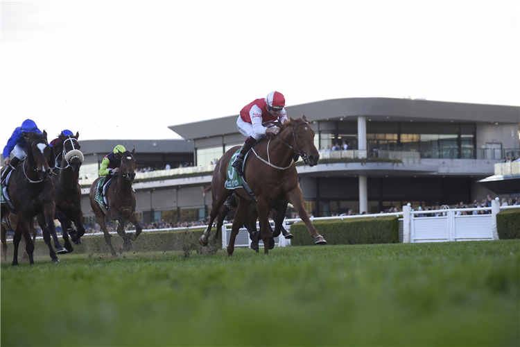 Today’S Horse Racing Tips – 24th August 2022 | Racing and Sports