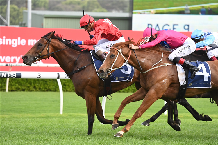 Promise Of Success Wins The Invitation: Post Race Trainer And Jockey ...