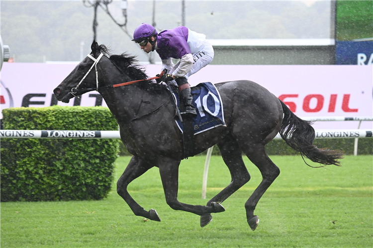 Promitto Wins Skyline Stakes: Post Race Trainer And Jockey Quotes ...