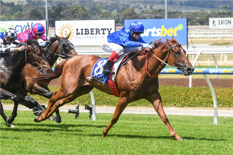 Red Card Wins The Fulmen Park 3Yo Handicap: Post Race Trainer And ...