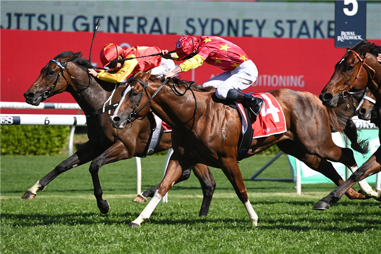 Rocketing By Wins Sydney Stakes: Post Race Trainer And Jockey Quotes ...