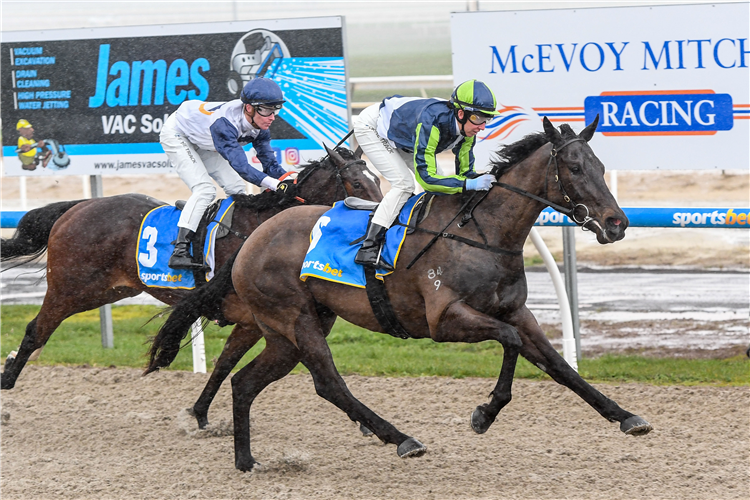 Running By Thoroughbred Horse Profile - Next Race, Form, Stats, News ...