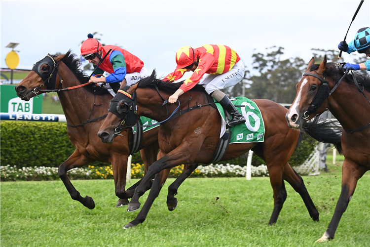 Jason Witham's Warwick Farm Picks - Tuesday, 3 June | Racing and Sports