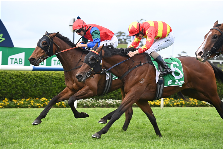 Sharp ‘N’ Smart Chasing Spring Champion Glory | Racing and Sports