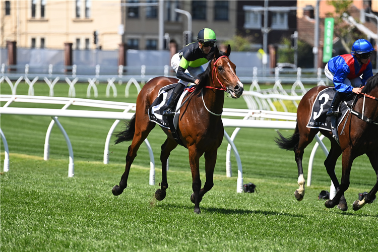 Mark Hunter And Ric Mcintosh Preview Day 1 At Warrnambool (April 29 ...