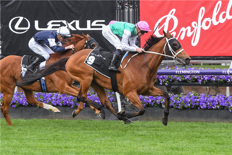 Surefire Wins Group 3 Lexus Archer Stakes: Post Race Trainer And Jockey ...