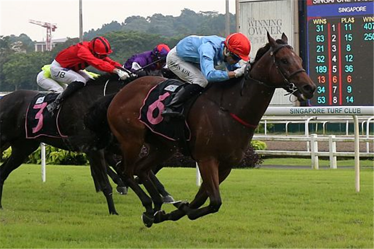 Five-Pronged Attack For Clements In Class 1 Mile | Racing and Sports