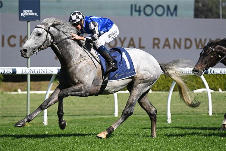 2023 Bill Ritchie Handicap: Race History | Racing and Sports