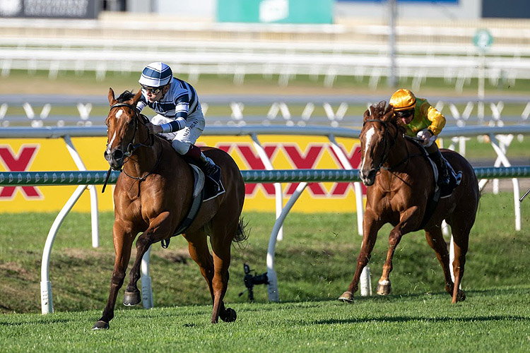 Uncommon James Wins Impressu Darby Mccarthy: Post Race Trainer And ...