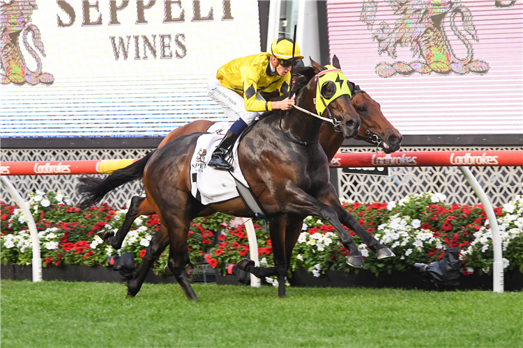 Vultan Wins The Country Cup Final: Post Race Trainer And Jockey Quotes ...