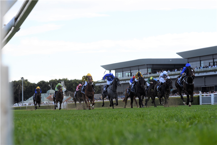 Today’S Horse Racing Tips – 5th September 2022 | Racing and Sports