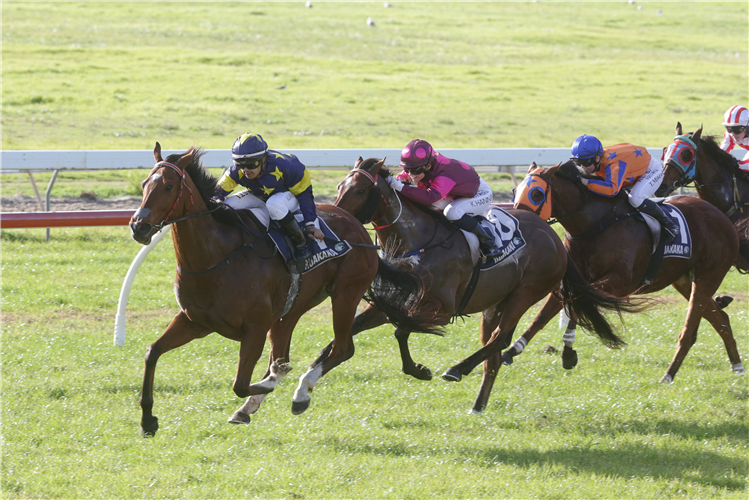 Zelenski Finds Winning Groove | Racing and Sports