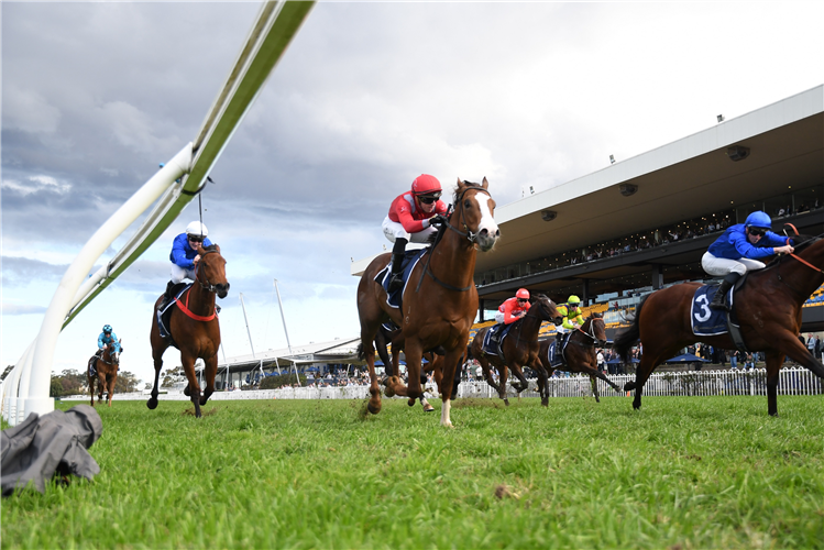 Gatton (Australia) Racecourse | Thoroughbred | Races Today | Racing and ...