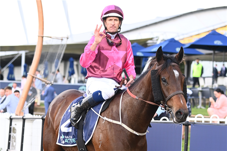 Sky Field Returns For G3 Bauhinia Sprint Trophy | Racing and Sports