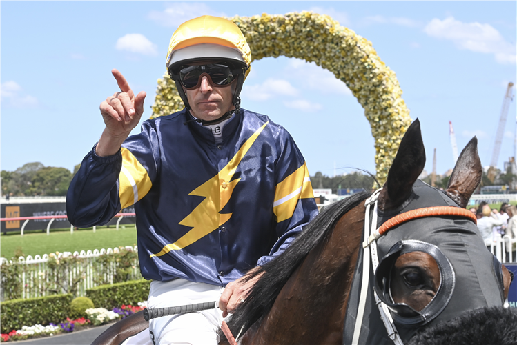 Kris Lees-Trained Almania Reunites With Bowman | Racing and Sports