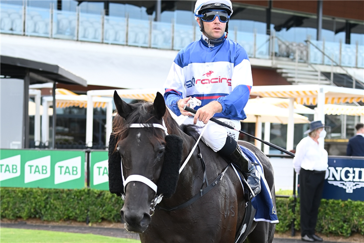 Berry Happy Metallicity Is On The Right Track | Racing and Sports