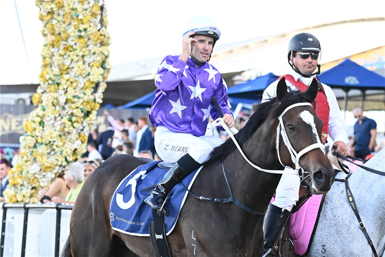 Berry Ready To Write New Chapter In Shelby's 'Incredible' Story ...