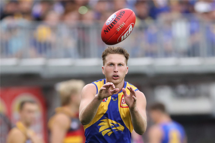 2023 Afl Round 16 Preview – West Coast V St Kilda | Racing and Sports